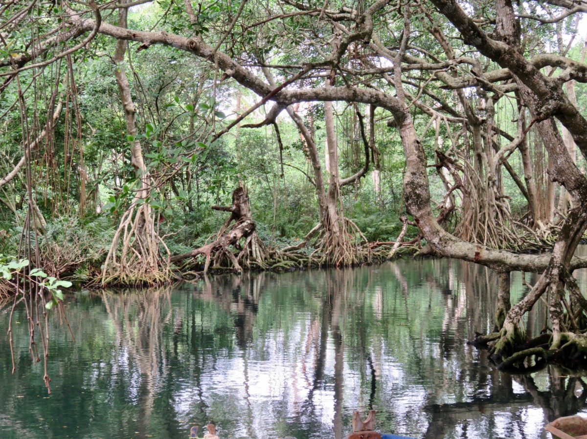 Laguna Gri Gri | Taking Our Time